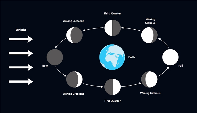 A Guide To Understand Moon Phases With Diagram EdrawMax Online