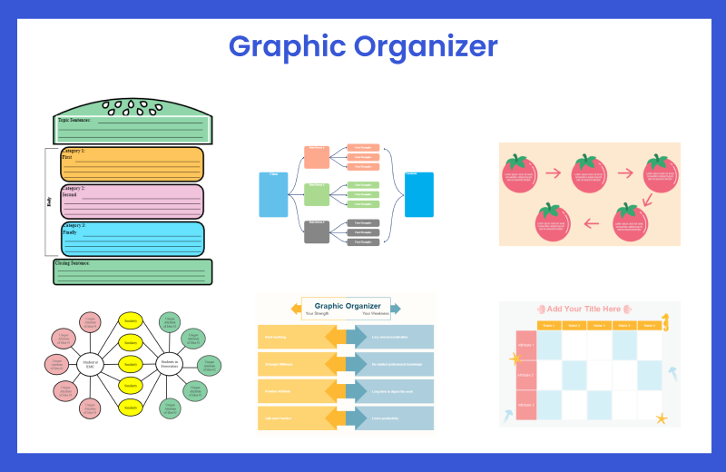 Bill Of Rights Graphic Organizer