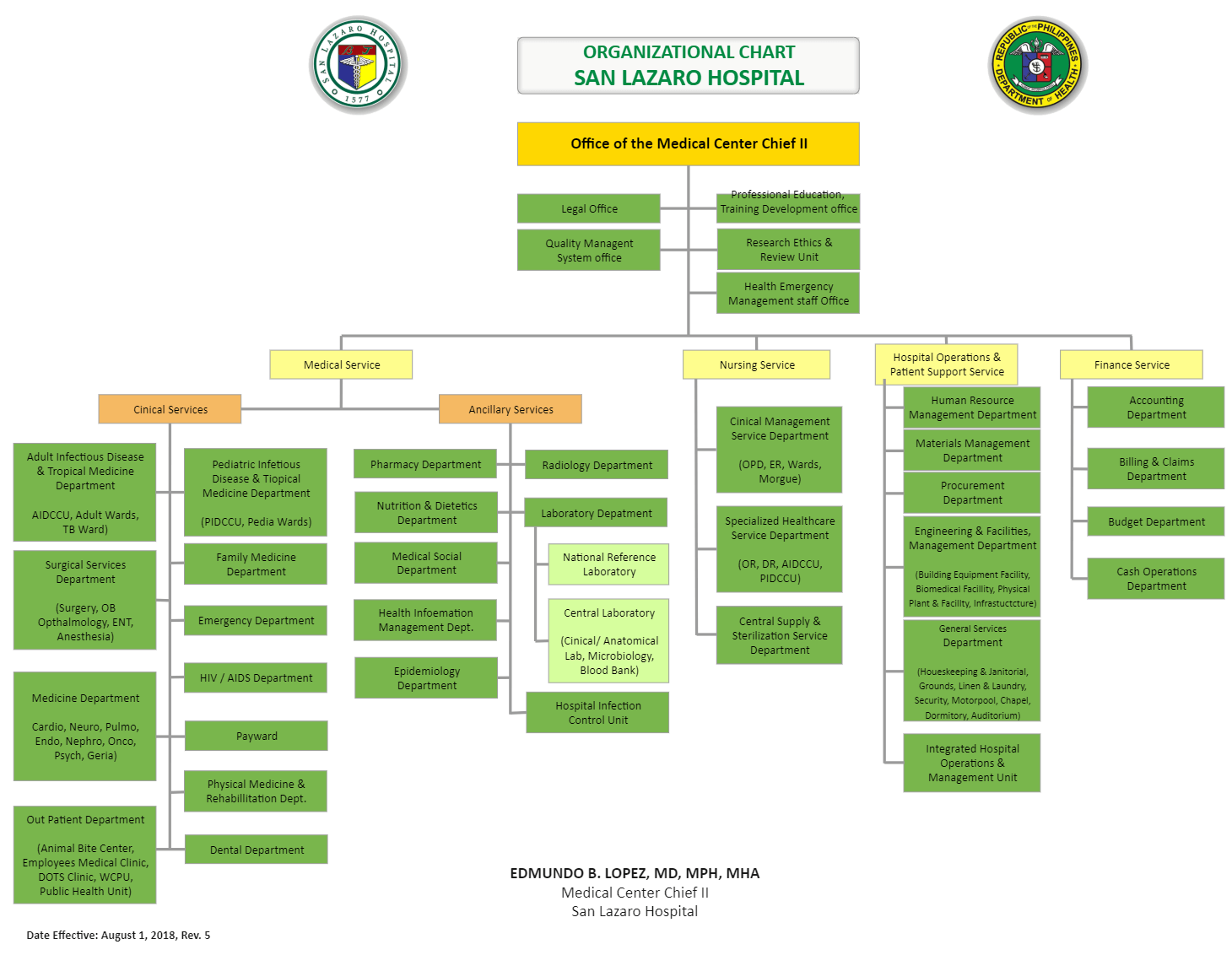 Hospital Organizational Chart Explained With Examples EdrawMax Online 